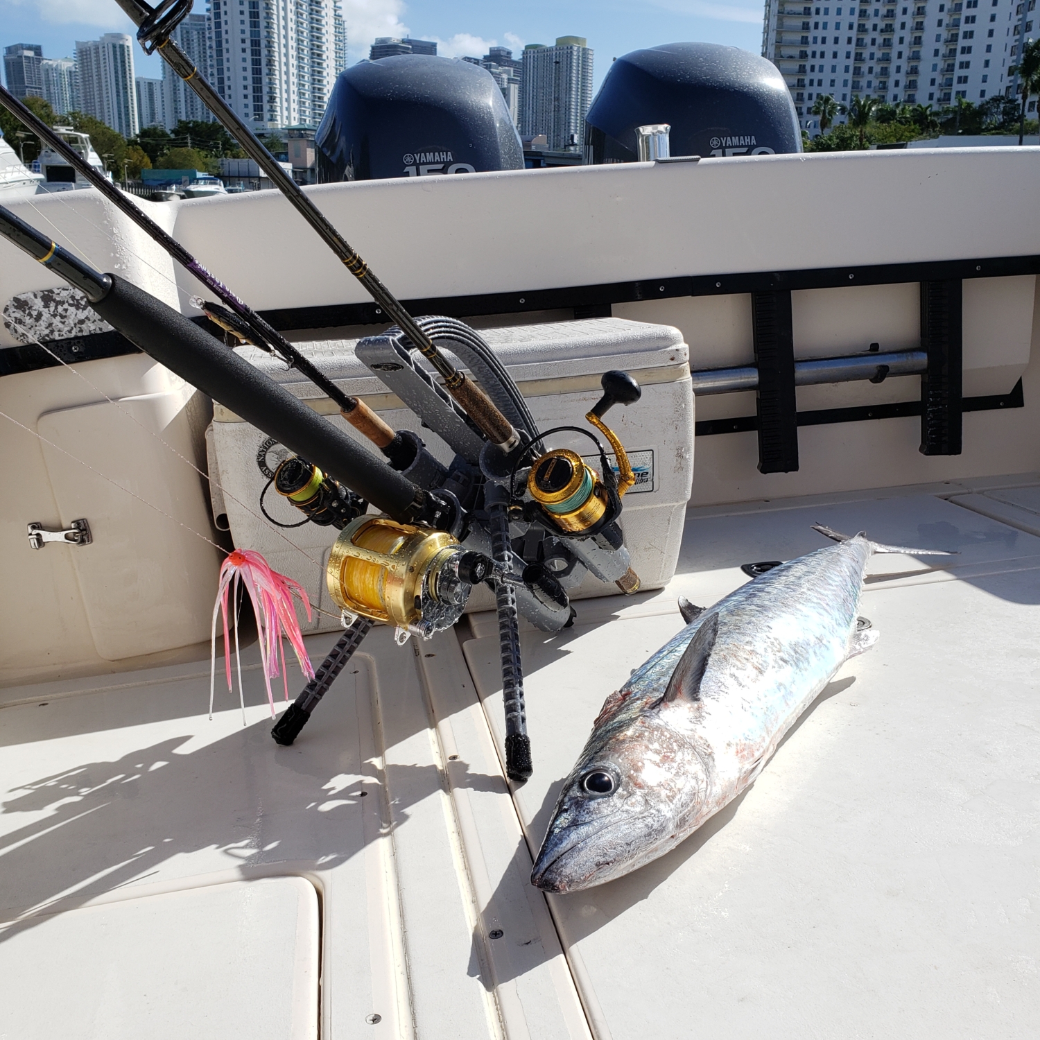 EXPRESS 3: GRAY - portable fishing rod rack